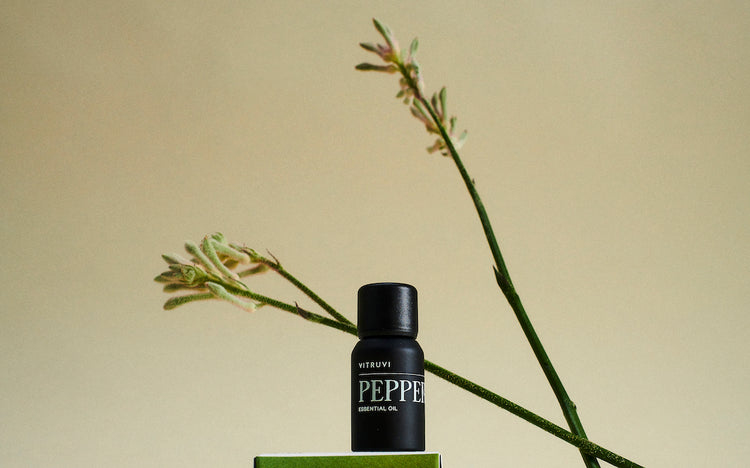 The Best Antibacterial and Antimicrobial Essential Oils – Vitruvi US