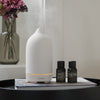 Build Your Own Diffuser Bundle – Vitruvi US