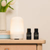 Build Your Own Diffuser Bundle – Vitruvi