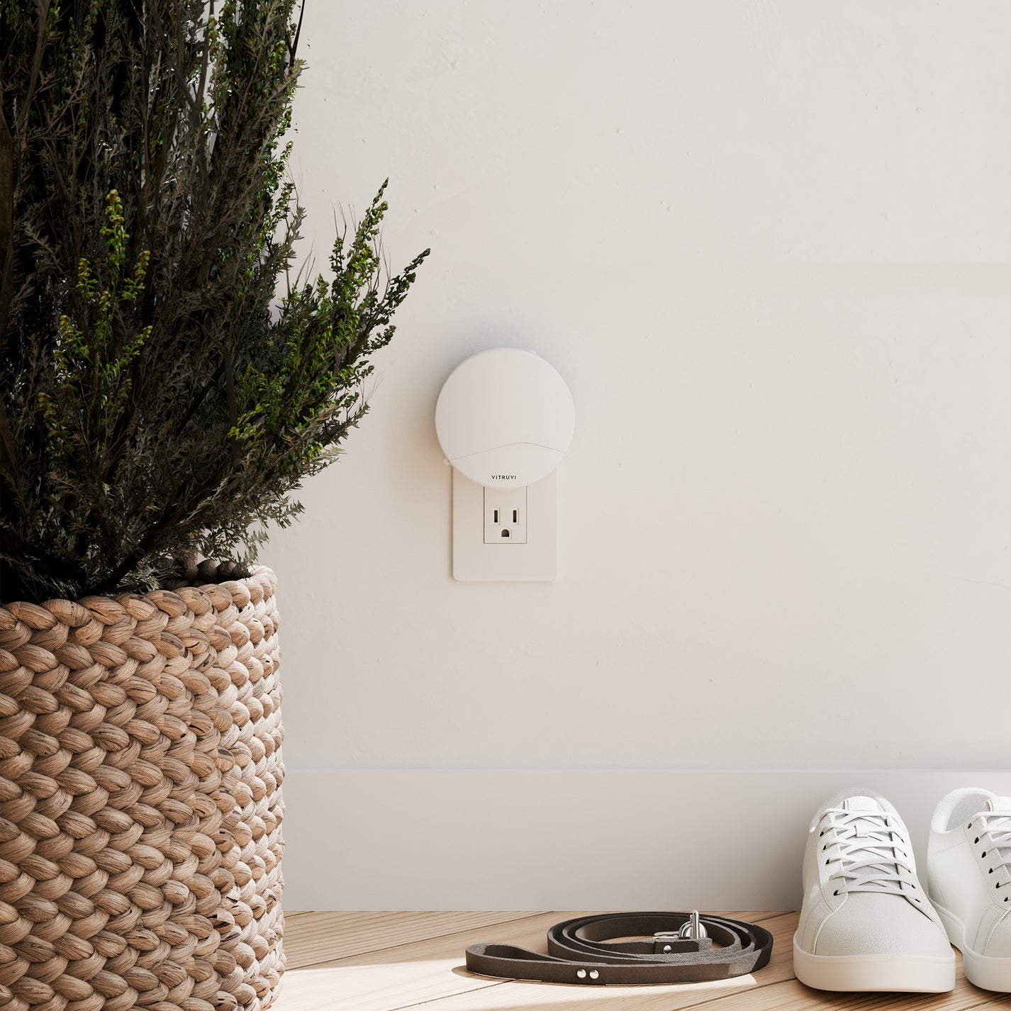 Push Plug-In Wall Diffuser – Vitruvi US