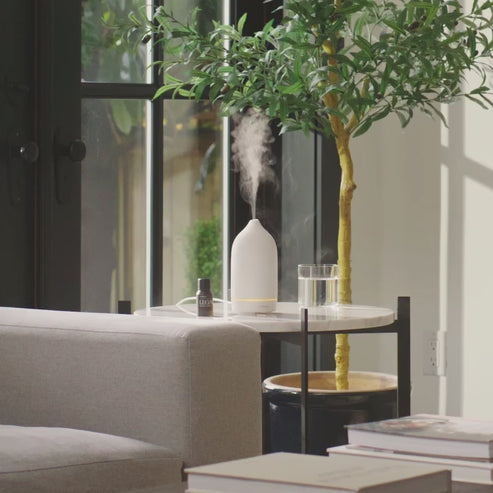 Sleep Diffuser Bundle | Vitruvi